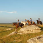 Best Cornwall Horseback Riding Tours - barefootcornwall.com